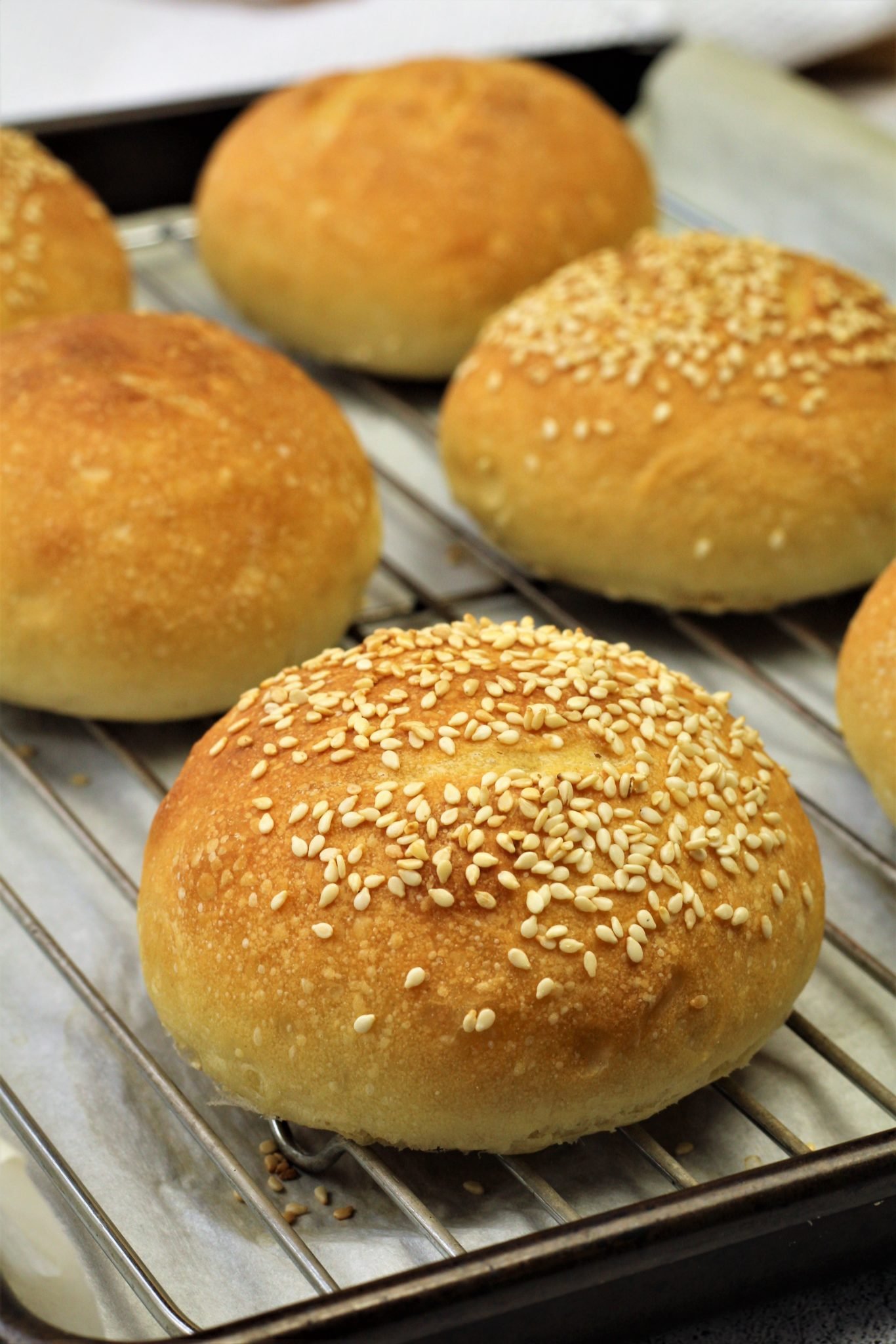 Italian Semolina Rolls - Mangia Bedda