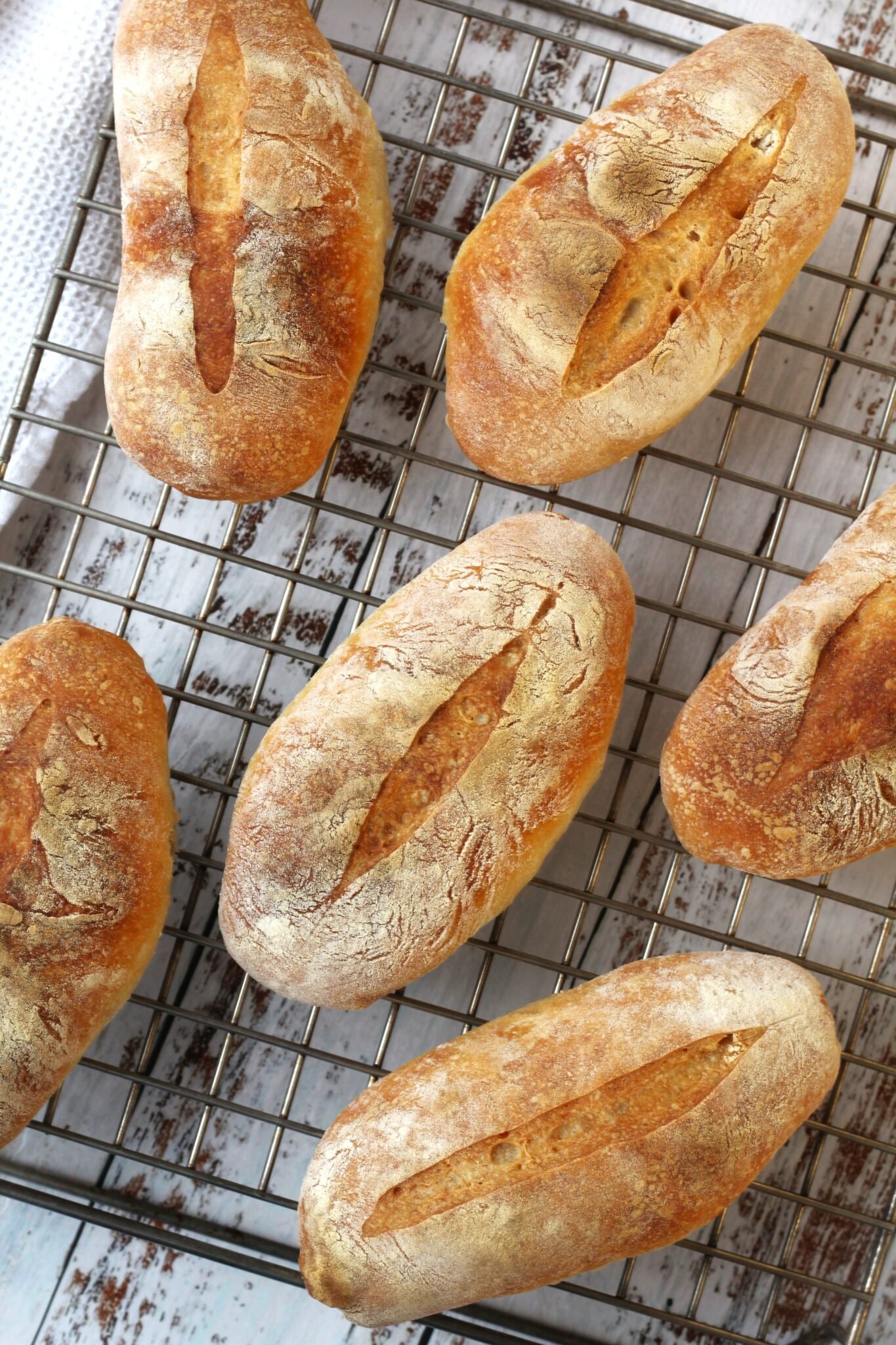 No Knead Italian Panini Bread Recipe - Mangia Bedda